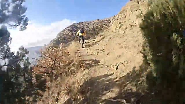 день смурка