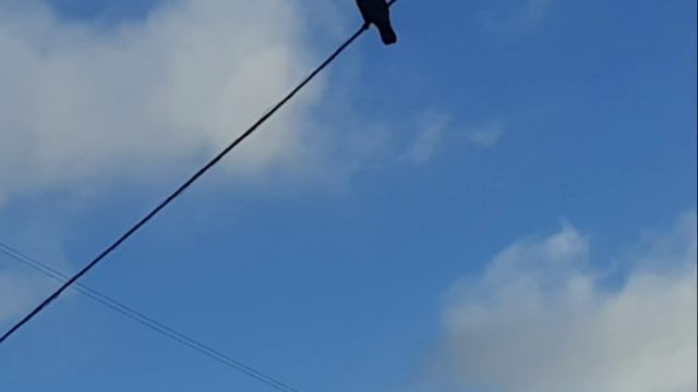 Октябрьские чтения, 2024.Вальс для Ольги, муз. М.Петухова