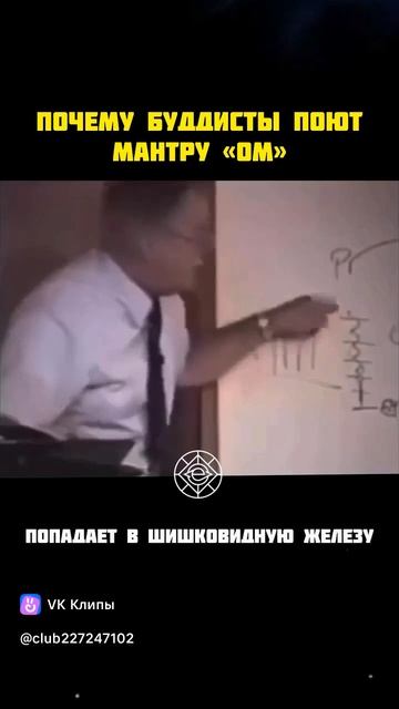 Позвоночник