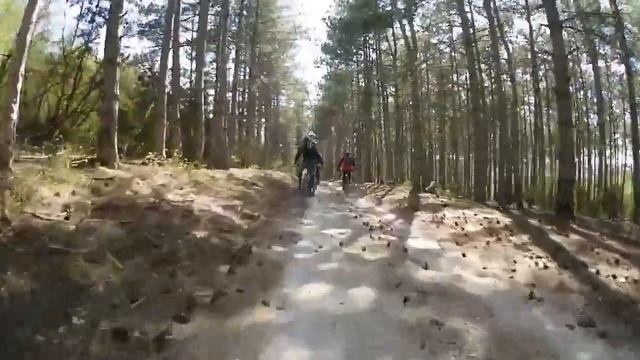 Самоизоляторы