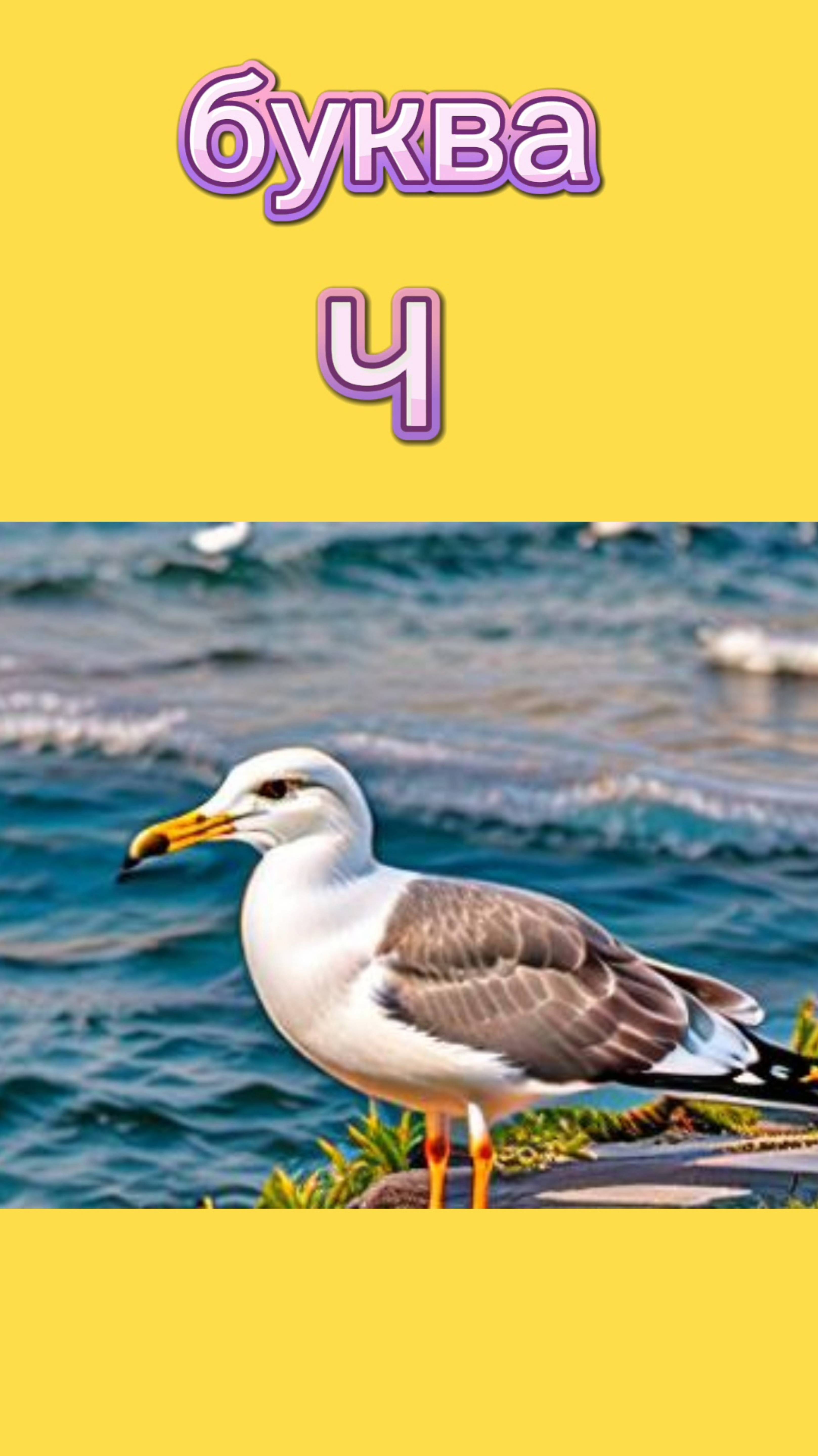 Алфавит - буква Ч