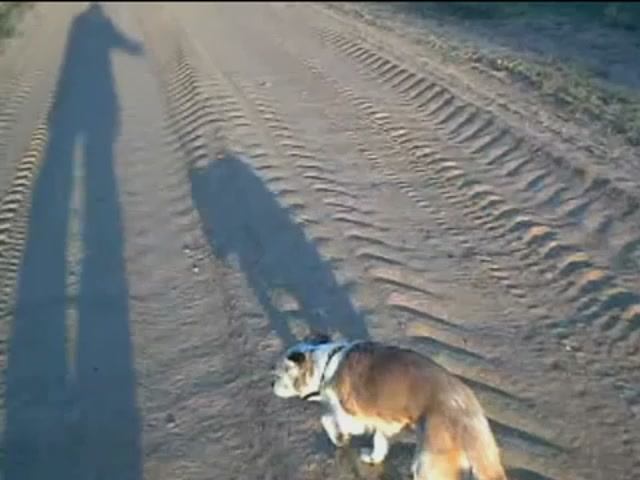 Большой и маленькийBig and small