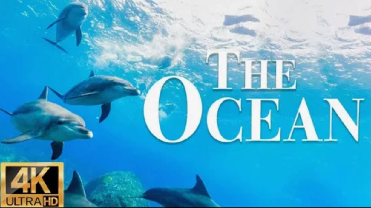 Животные океана. Животные и природа с успокаивающей, спокойной музыкой для медитации, сна, отдыха