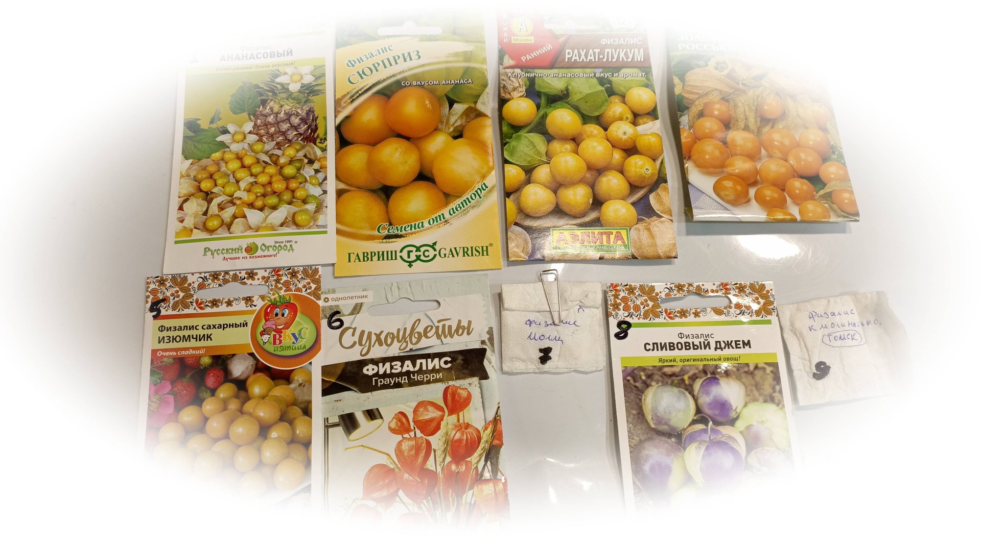 Физалисы ягодные 7 сортов и овощные 3 сорта 2024г.