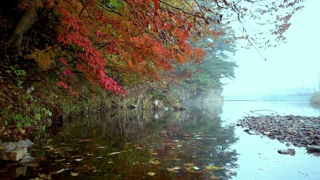 Поэзия: Октябрь. Читают Ольга Грушевская и Петр Дубенко, 2023