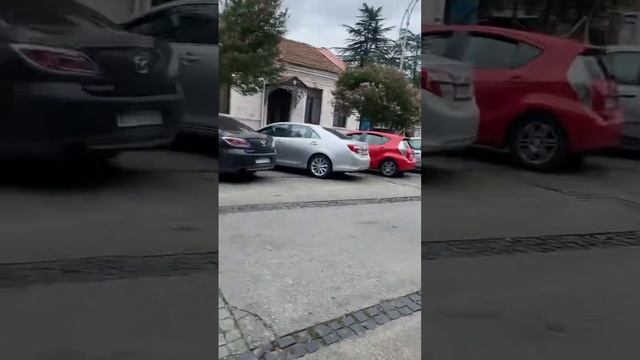 Бессмертные Волги попадают сюда #грузия #ретро #волга #газ #машина #коррозия #car