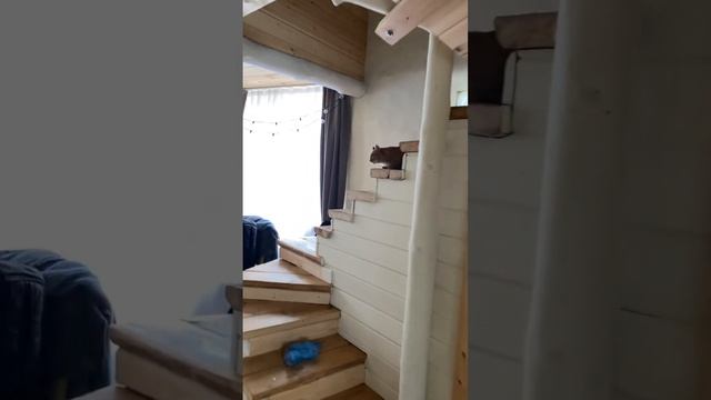 Живу на печи в доме из глины и дров #глиночурка #саман #глина #стройка #эко #печь #кедросад #релакс