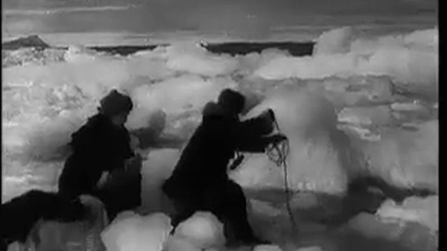 Киножурнал /  НОВОСТИ ДНЯ 1954 г  N 67