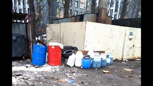 Из Химок в канал им  Москвы. 05.02.2025