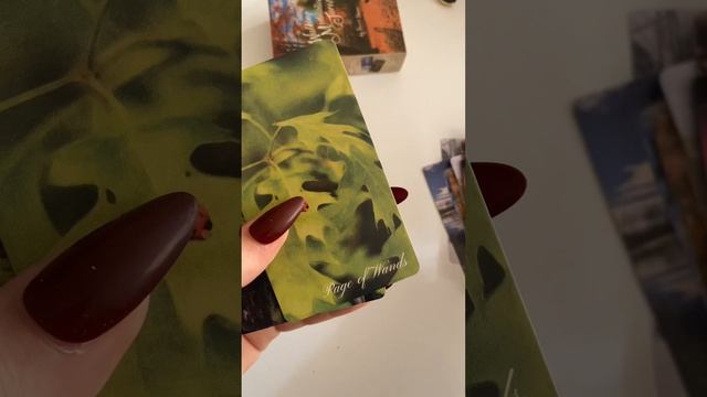 Walking Meditation Tarot #tarot #newtarot #tarot2025 #newtarotdeck #новаяколодатаро #распаковка