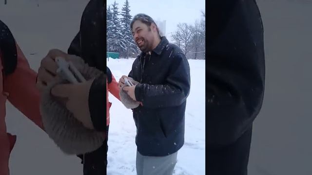 4 марта 2018 г.(3)