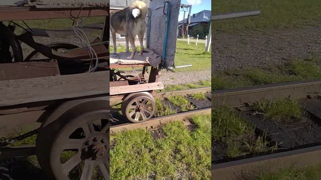 узкоколейка.последствия аварии.