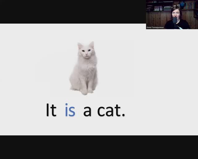 Английский язык. Чтение Lesson 4