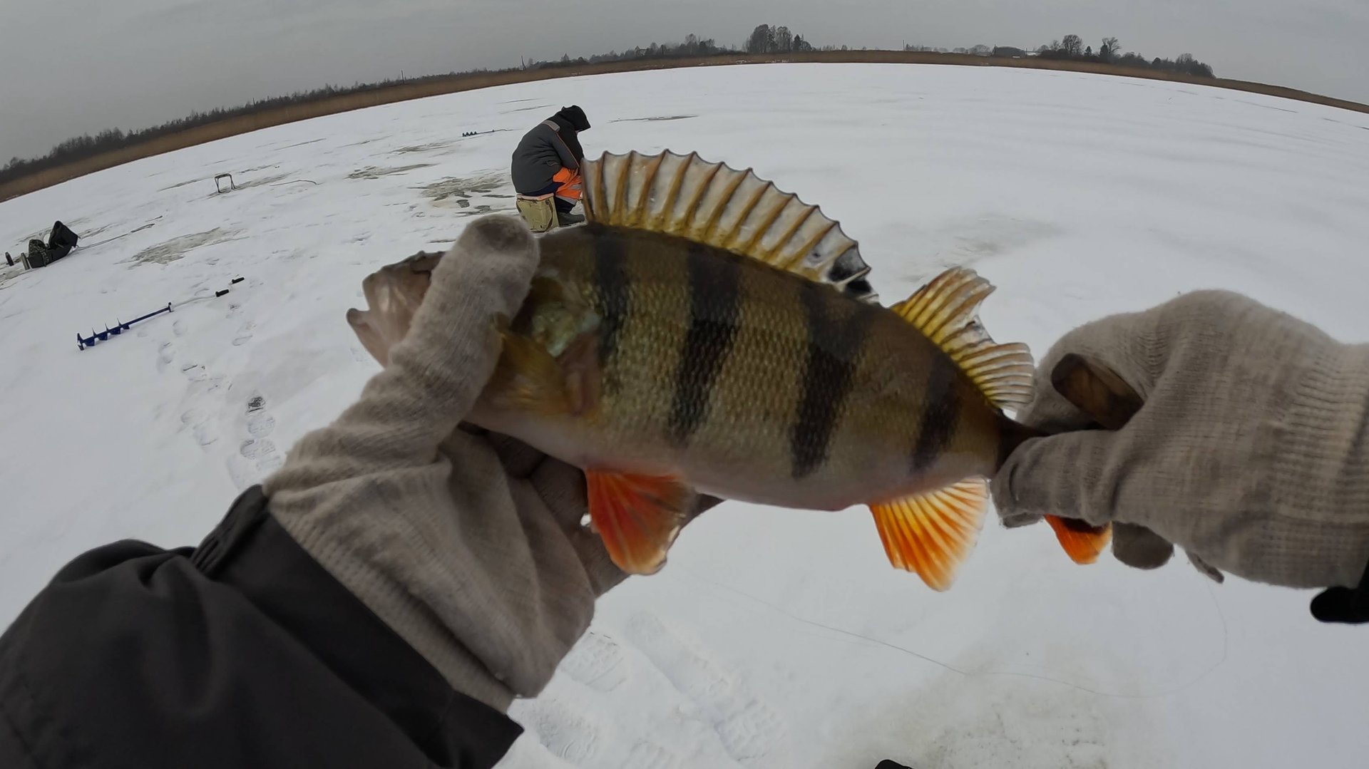 Рыбалка на окуня.