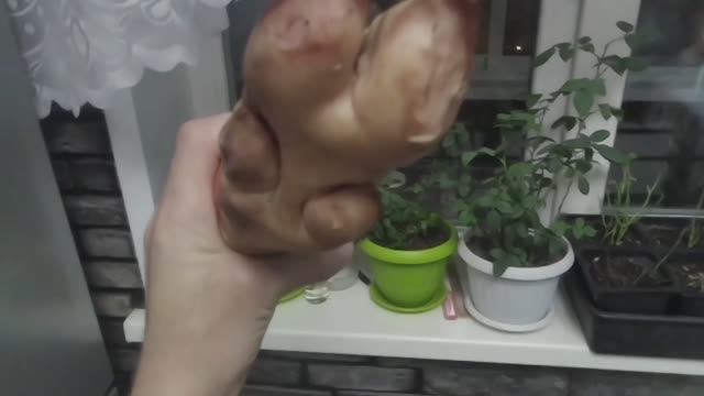 это что за жуть