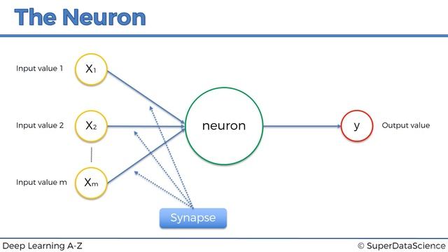 003 Understanding Neurons The Building Blocks of Artificial Neural Networks