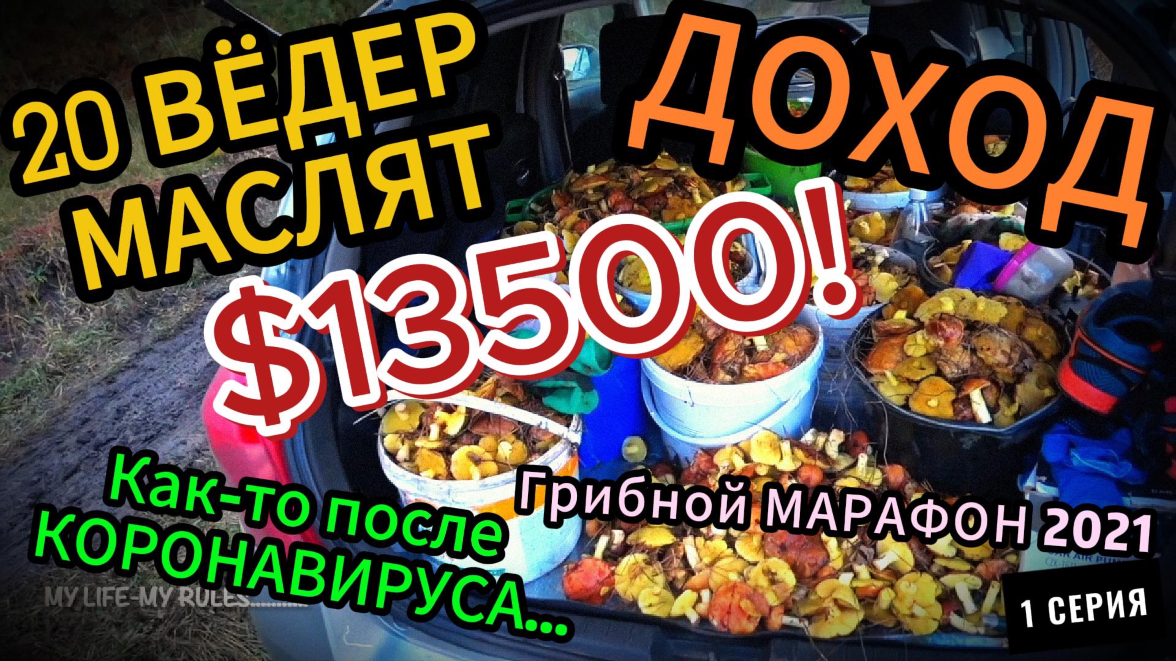 20 ВЁДЕР МАСЛЯТ! СОБИРАЕМ грибы вокруг машины! Переболели КОРОНАВИРУСОМ и ПОЕХАЛИ с ЖЕНОЙ за ГРИБАМИ