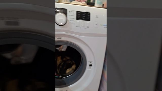 Как мы потеряли нашу кошку Марусю 😂😂😂