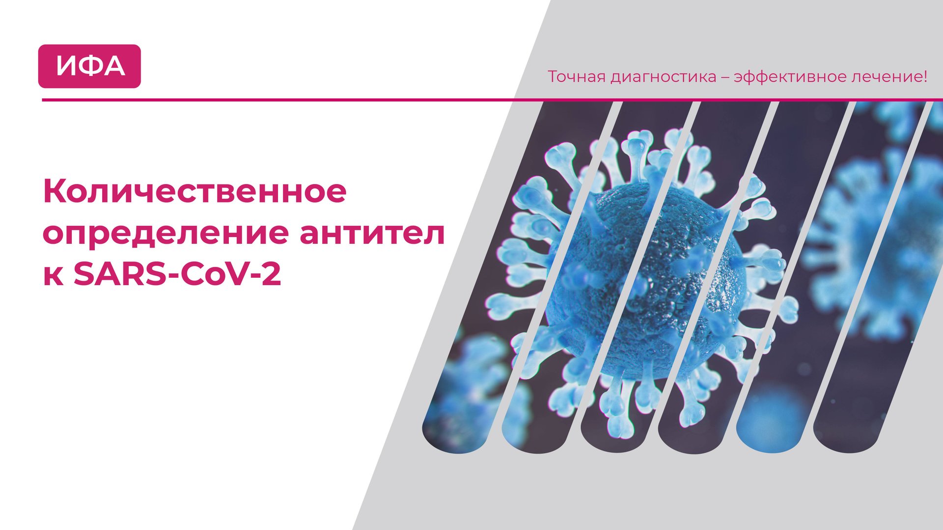 Количественное определение антител к SARS-CoV-2