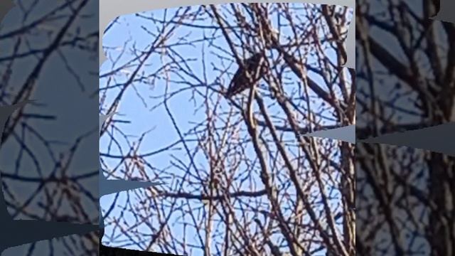 Май прежних дней © Copyright: Бронислав Сычёв, 2025
Свидетельство о публикации №125020503143