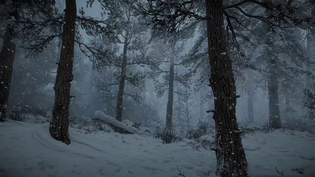 Расслабляющий снежный ветер ASMR 10 часов для сна