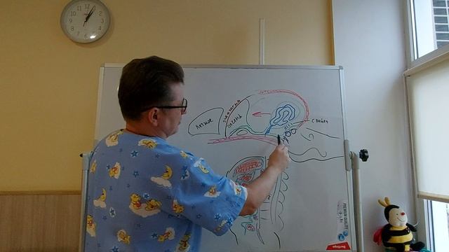 Лифт кишечника. Зачем?