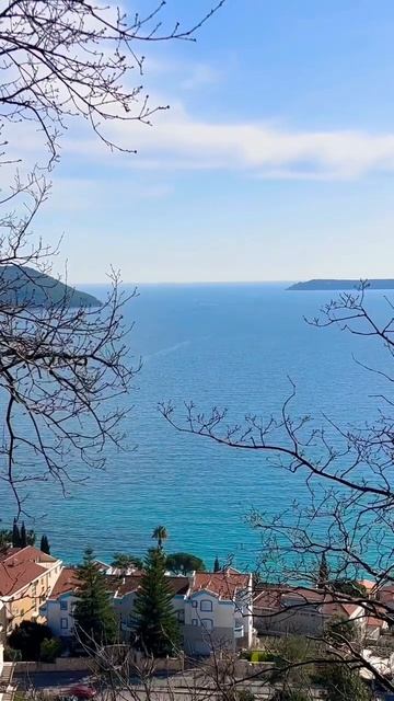 Герцег Нови