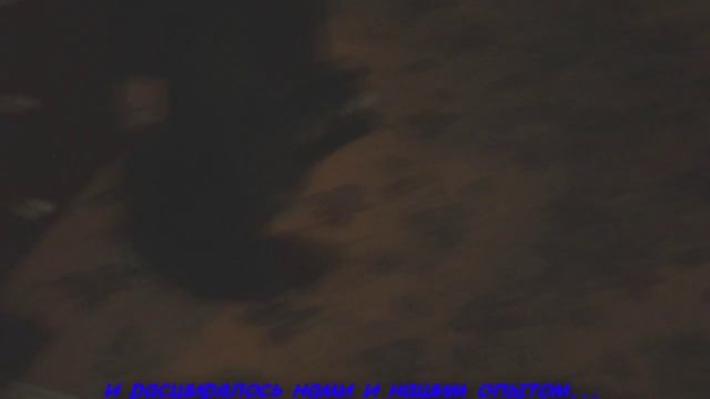 MelomanicaTV : 8 - й фрагмент фильма Сергея РАzoom Фокина Одиночество - 2. С кошками... 2025 год.