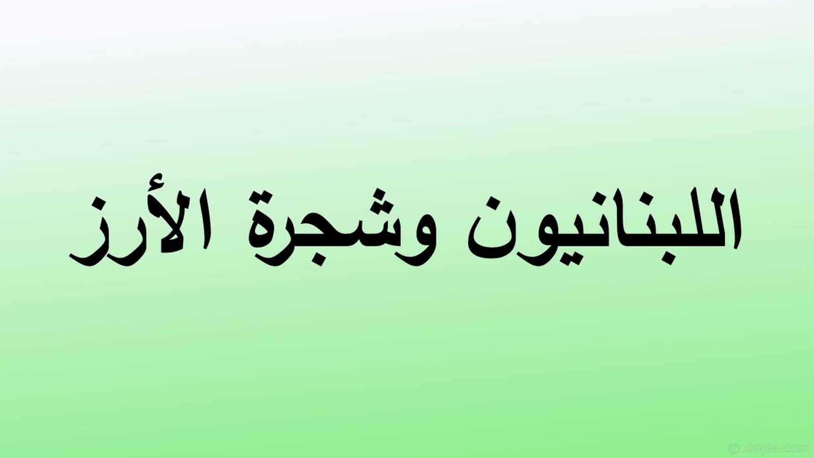 Кедр - символ Ливана