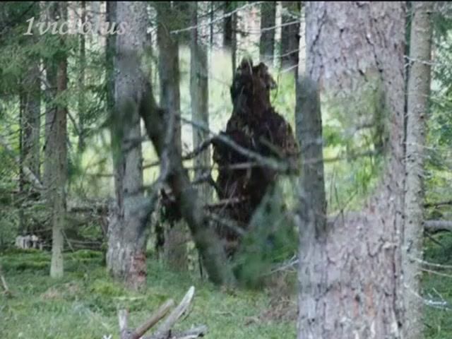 Встреча с медведем в лесу Encounter with a bear in the woods