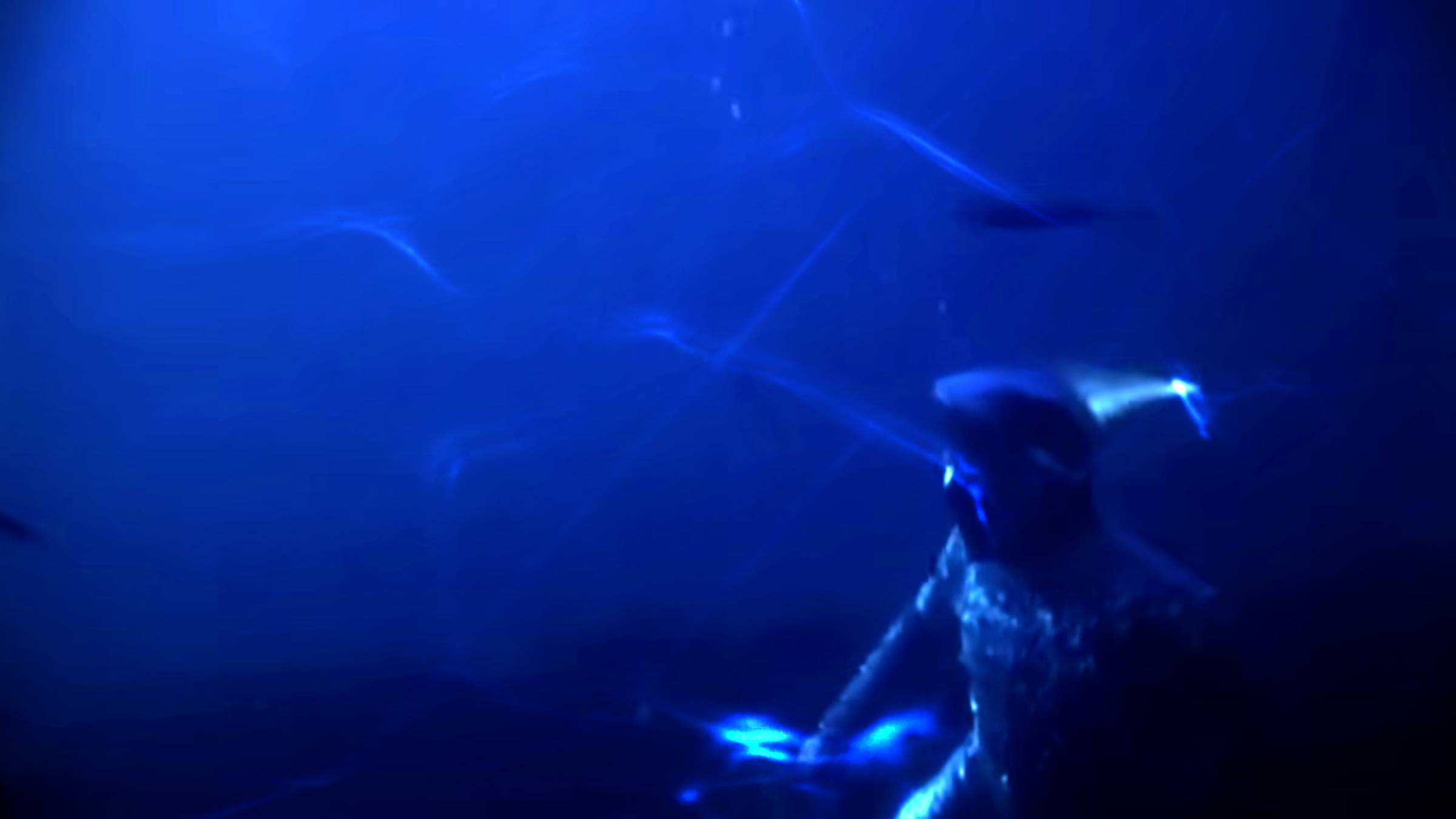 Шоу ихтиандров