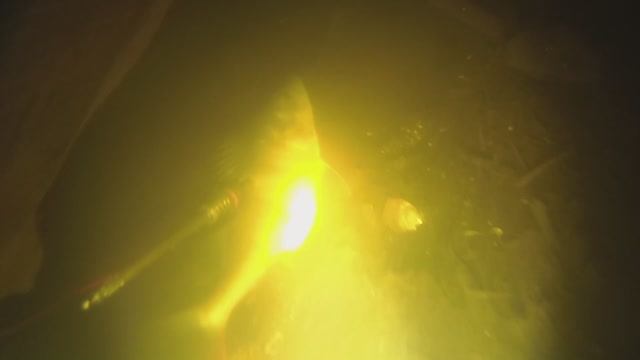 Много рыбы, отличная подводная охота на АЭС.