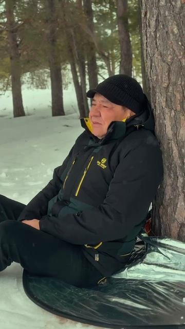 Ирек Ноғоманов - Урмандарға керһәң