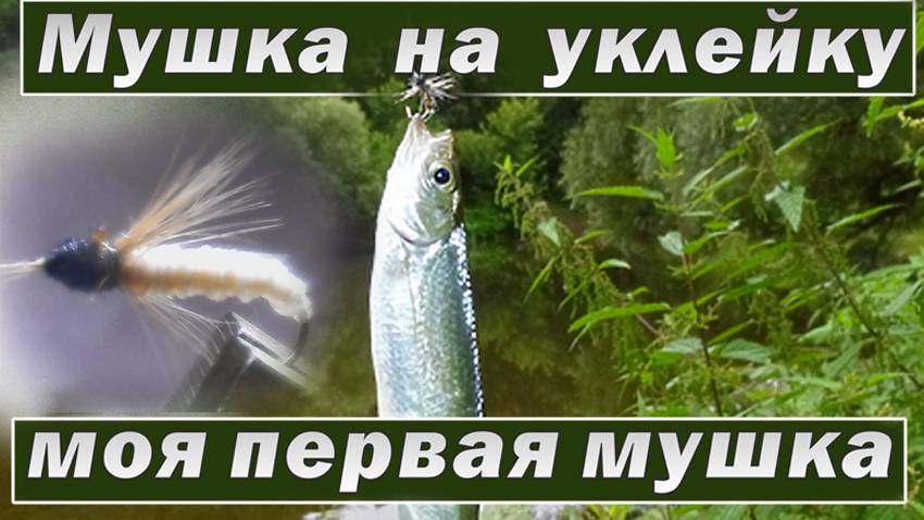 Мушка на уклейку