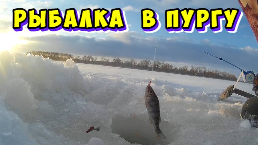 рыбалка в пургу
