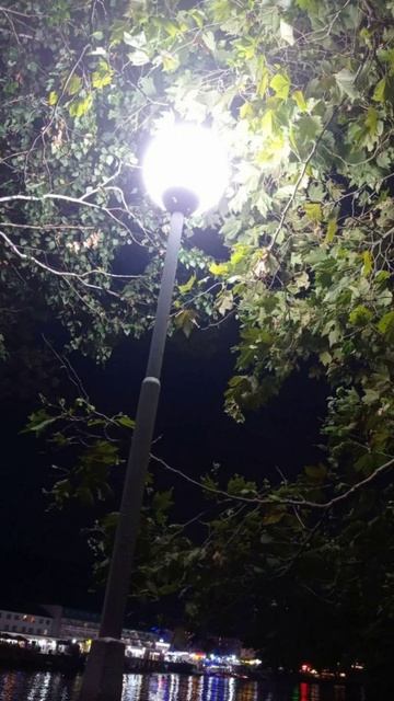 Дождик осенний. Окуджава Булат.