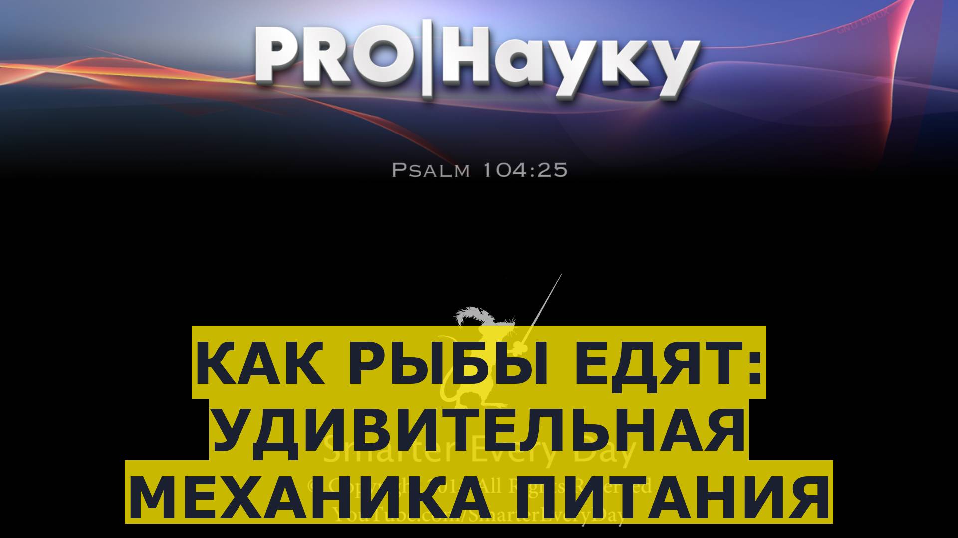 Как рыбы едят: удивительная механика питания