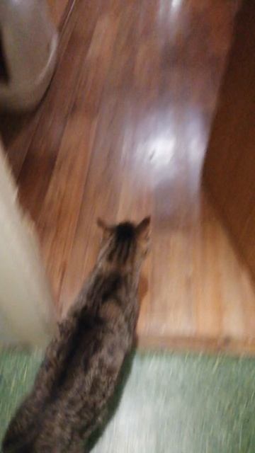 #shorts Часть 1