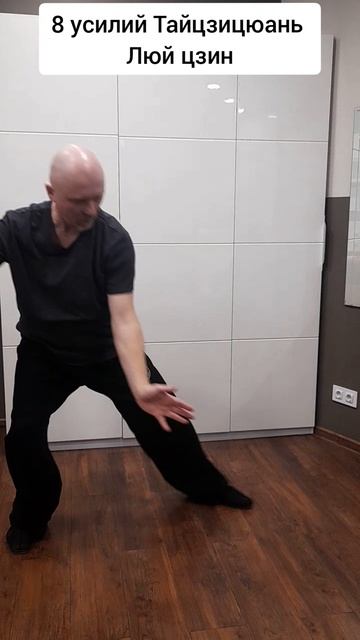 8 базовых усилий Тайцзицюань.  Люй цзин
#тайцзицюань #двигайся_в_потоке #цигун
