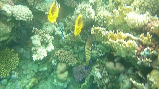 Акватория отеля Конкорд. Часть 6.