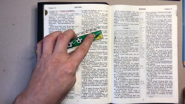 02 | Бытие 1:20-31 | Жемчужина творения