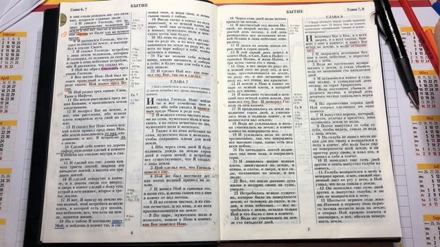 13 | Бытие 7-8 гл. | Потоп и его последствия