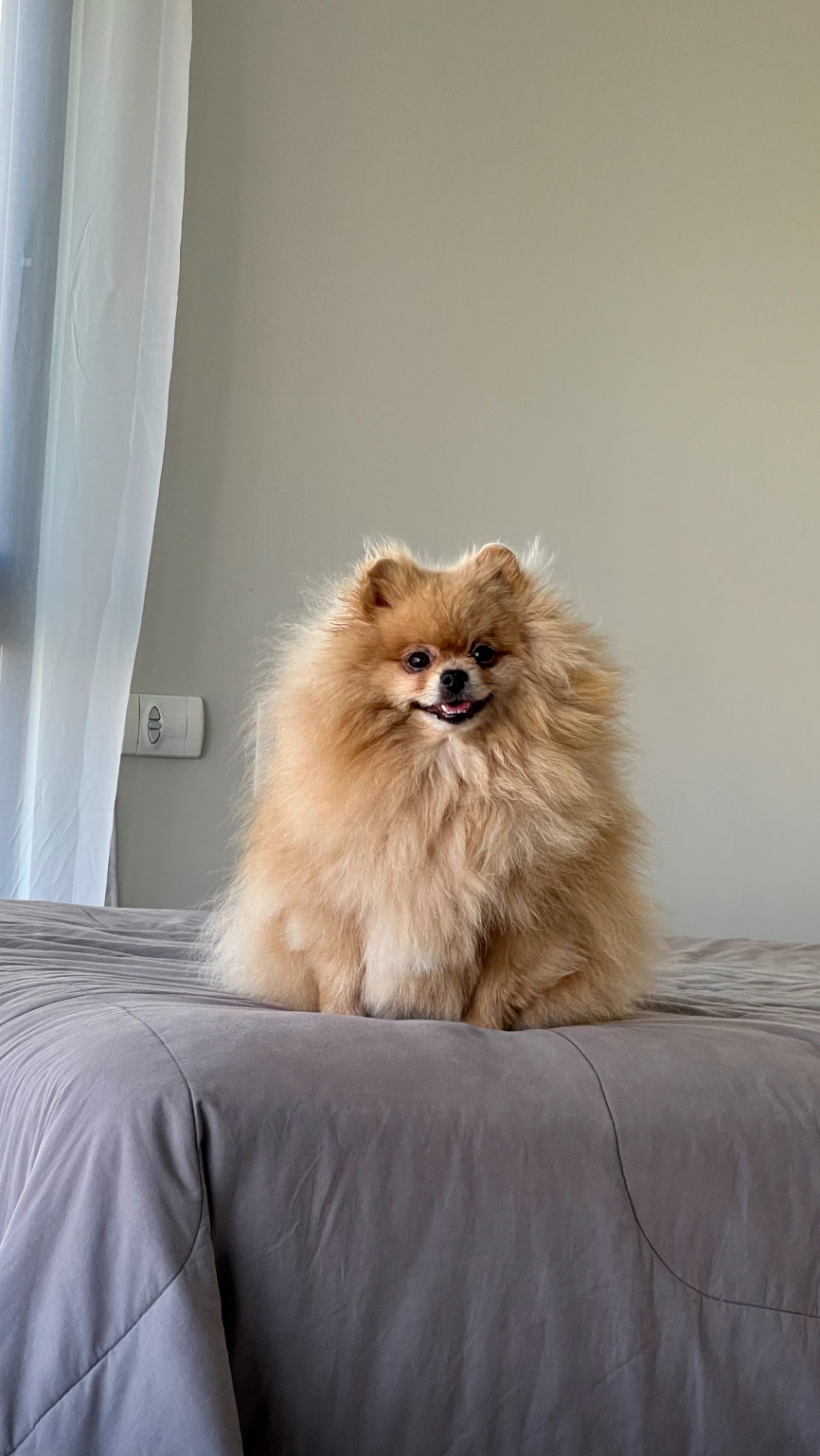 Басенька огорчена!