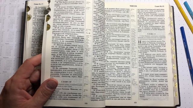 18. Исход 16-я гл. Господь даёт манну в ответ на ропот Израильтян