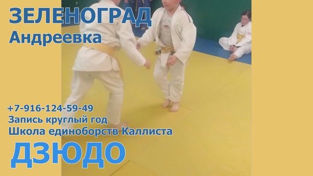 Зеленоград. Новости дзюдо 2025. Запись круглый год.