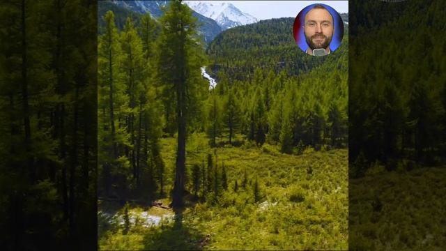 ОТ БЕССОННИЦЫ .mp4