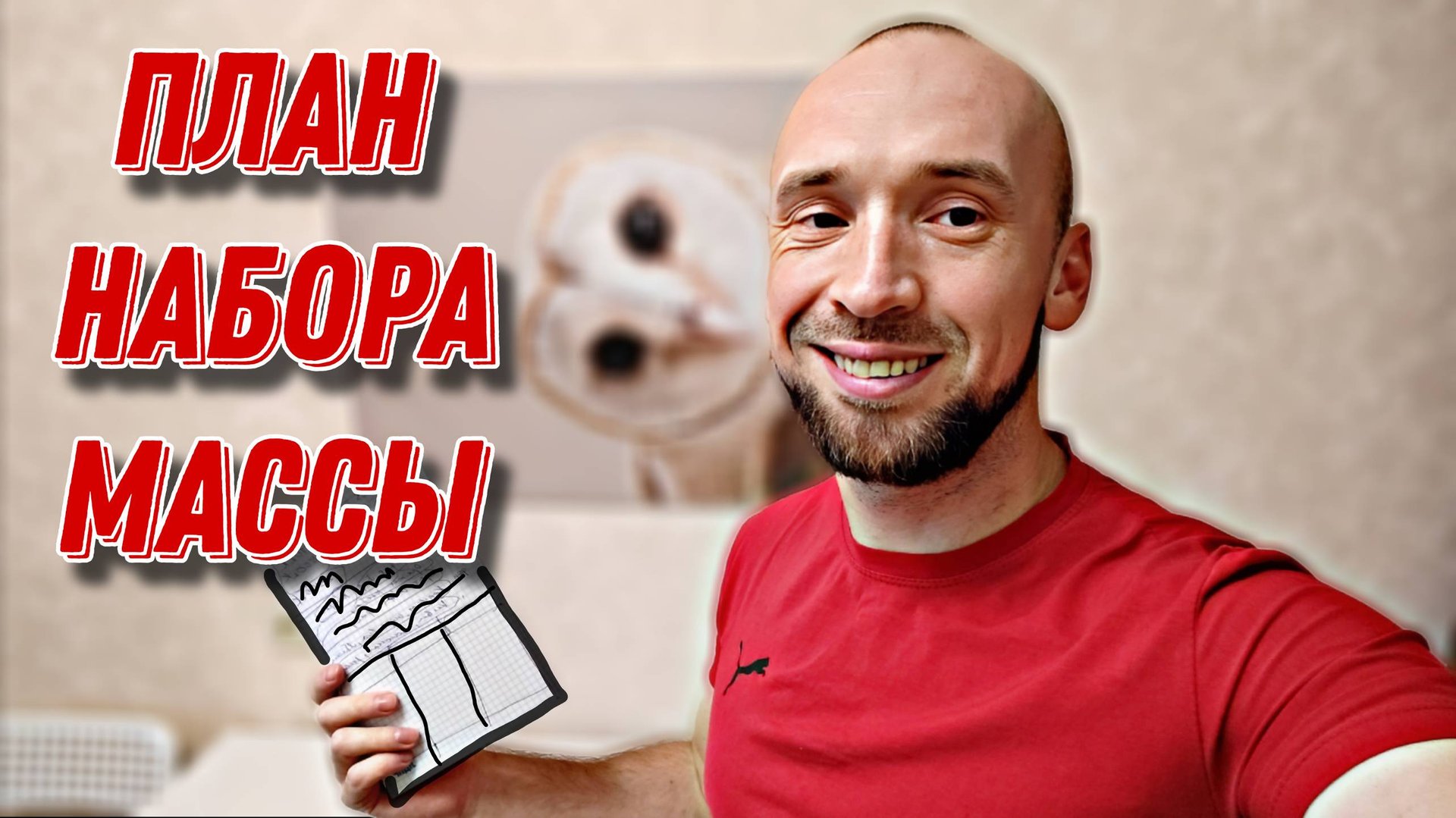 План ПИТАНИЯ для НАБОРА МАССЫ.