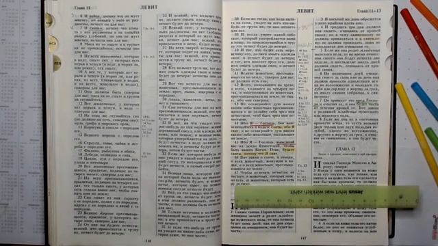 12 | Левит 12-я глава І Очищение женщины после родов |