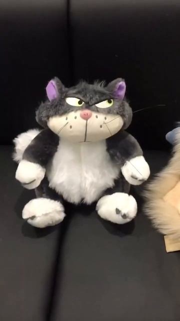 Отдых ❤️ #комнатаярости