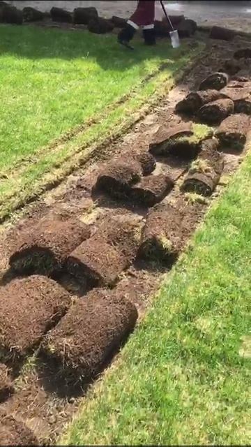 Аренда подрезчика дерна Kashin SC350`| Аренда станков